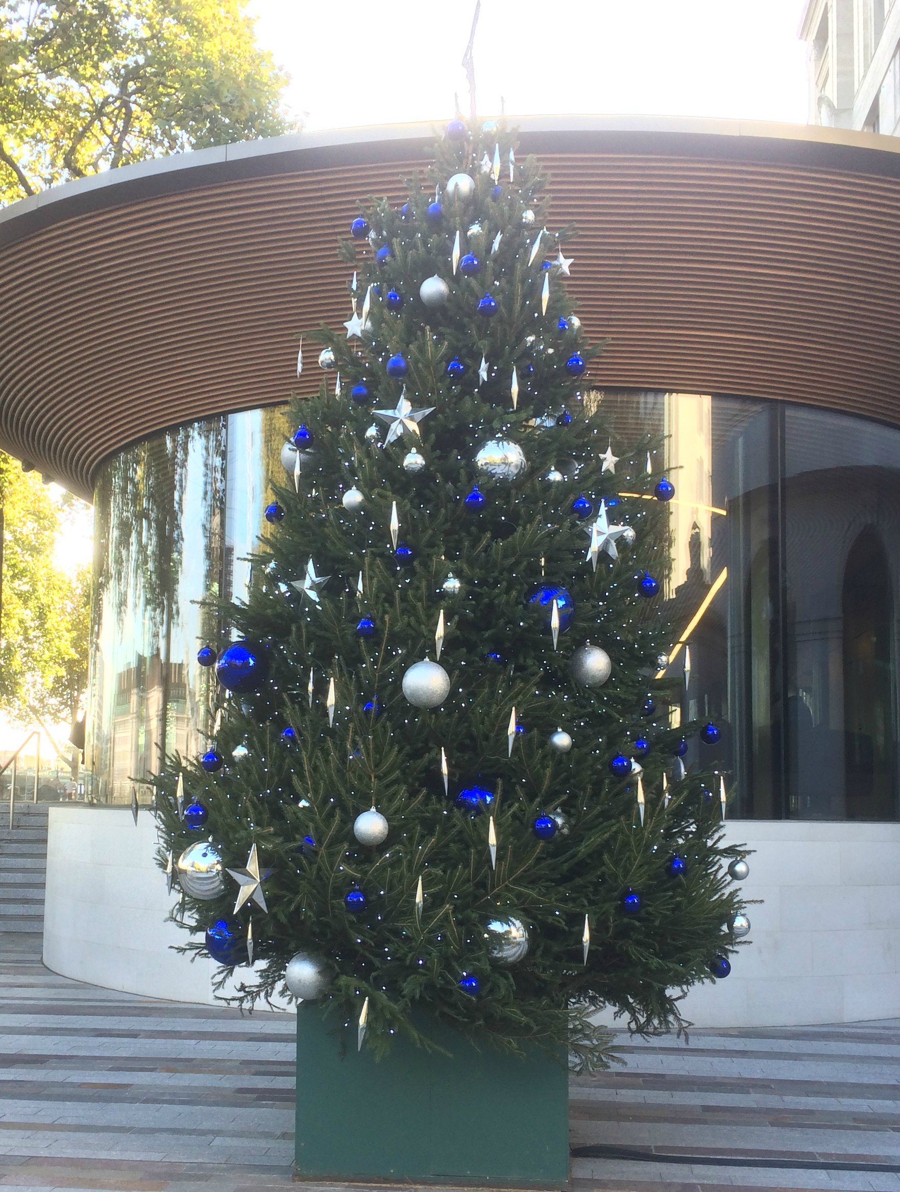 Large Christmas Trees Inspire Corporate Innovation
